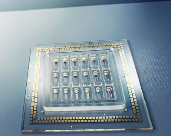 Drug Discovery and Therapeutics - FEMTOprint SA