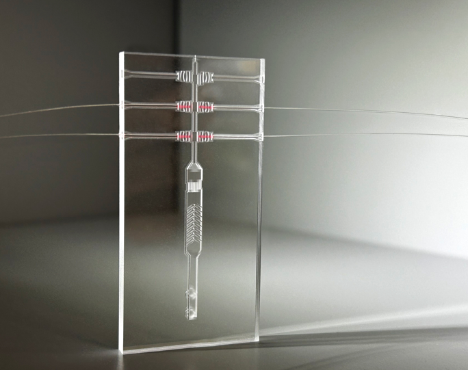 Glass Microfluidics 2025: Biotech Innovations in Lausanne - FEMTOprint SA